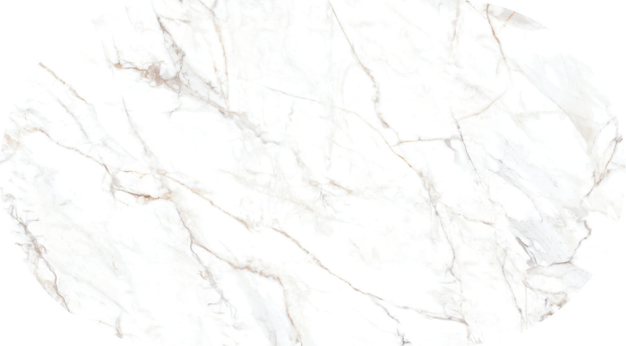 Products | Porcetalia